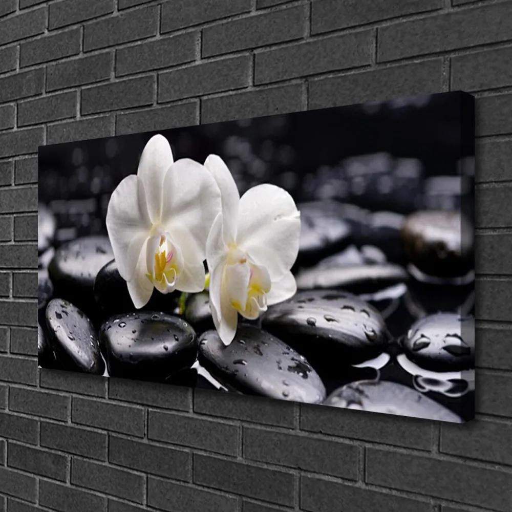 Obraz na plátně Kameny Zen Bílá Orchidej 125x50 cm