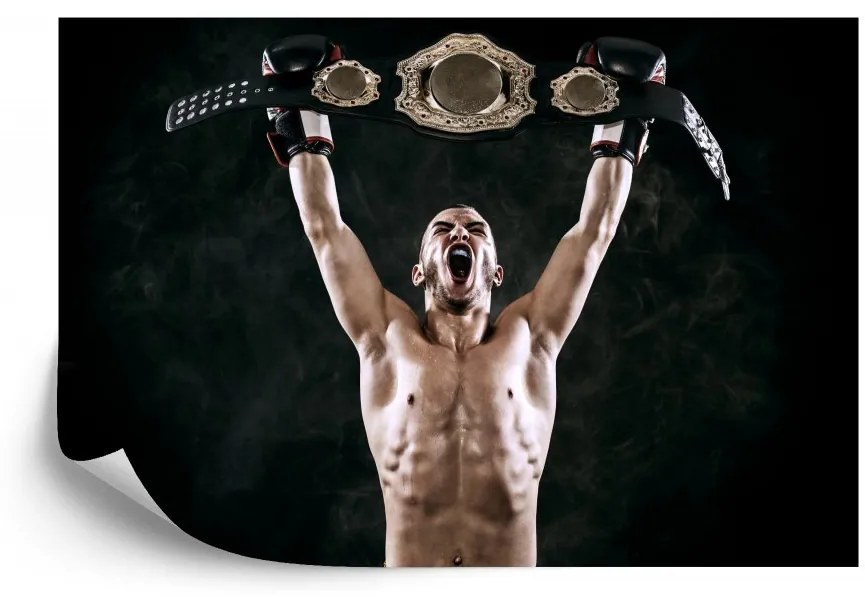 Fototapeta Vítězný Boxer Hladký vinyl 360x240