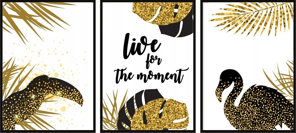 Obraz Plakáty V Rámu 53x73cm Triptych Sada 3 obrazů Žij Okamžikem Života P576