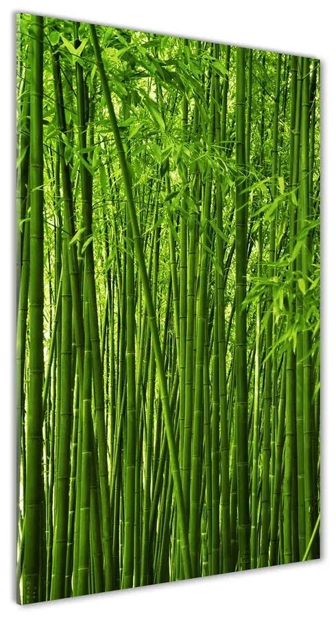 Wallmuralia Foto obraz sklo tvrzené Bambusový les 50x100 cm