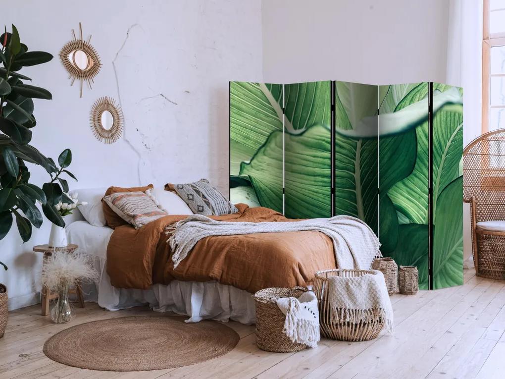 Pokojová zástěna Large Leaves - Floral Motif in Shades of Green II [Room Dividers]