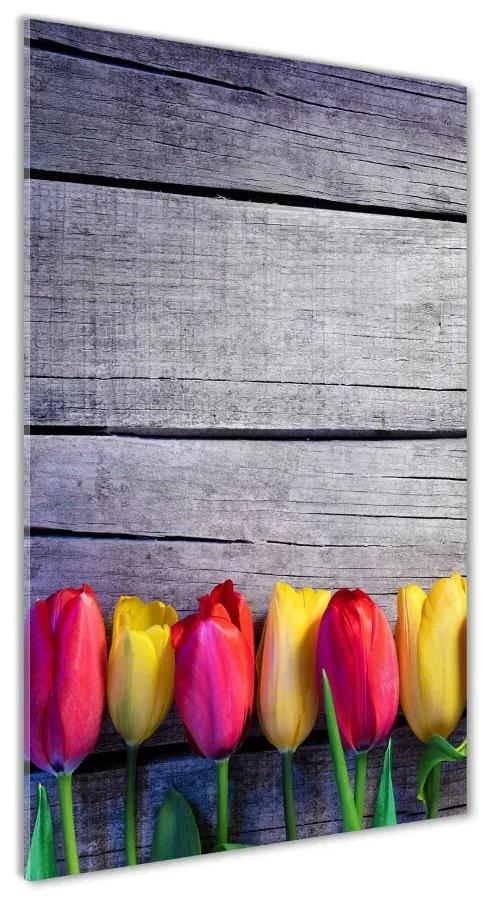Wallmuralia Vertikální Fotoobraz na skle Barevné tulipány 50x100