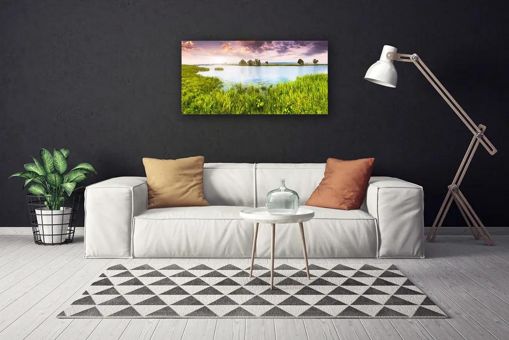 Obraz na plátně Tráva Jezero Příroda 120x60 cm