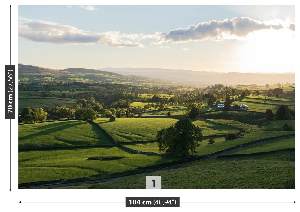 Fototapeta Pohoří Pennine 104x70