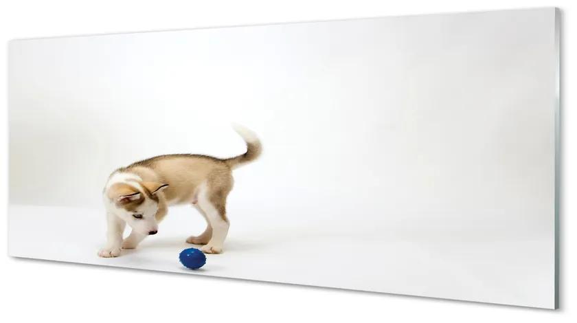 akrylový obraz Hrát s tím psem 120x60 cm