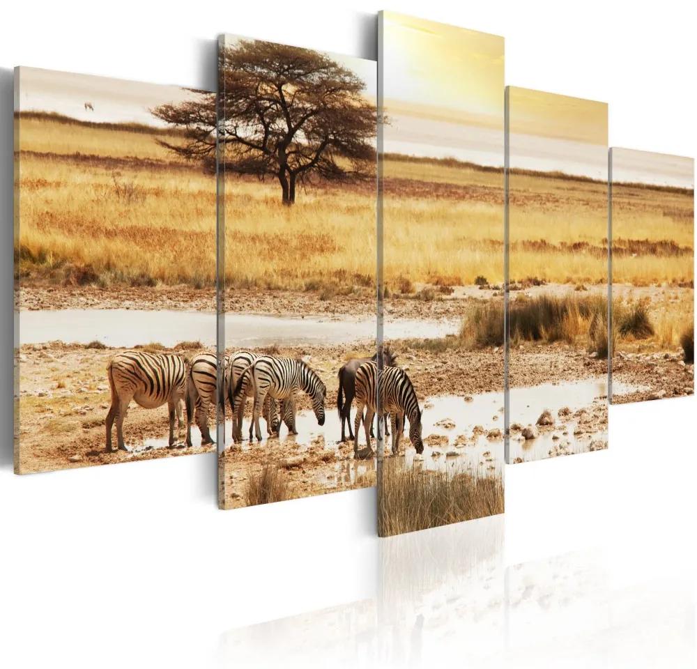 Obraz na plátně Bimago - Zebry na savaně 100x50 cm