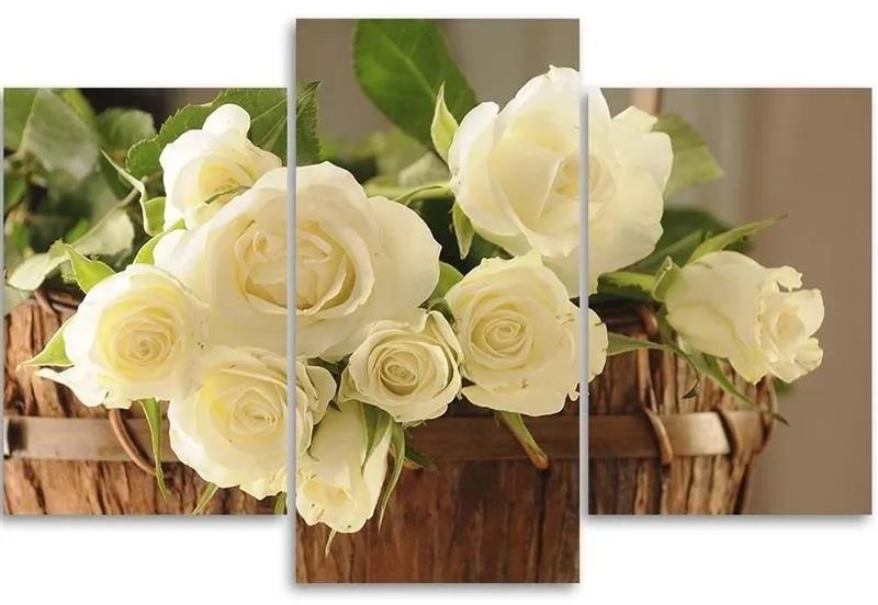 Obraz na plátně třídílný Bílé růže - 90x60 cm