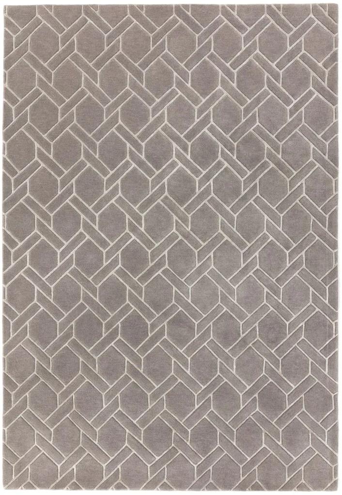Šedý  koberec Rapun Fine Silver Rozměry: 200x290 cm