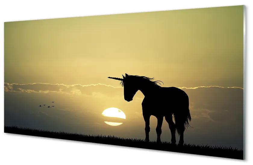 akrylový obraz Pole sunset jednorožec 140x70 cm