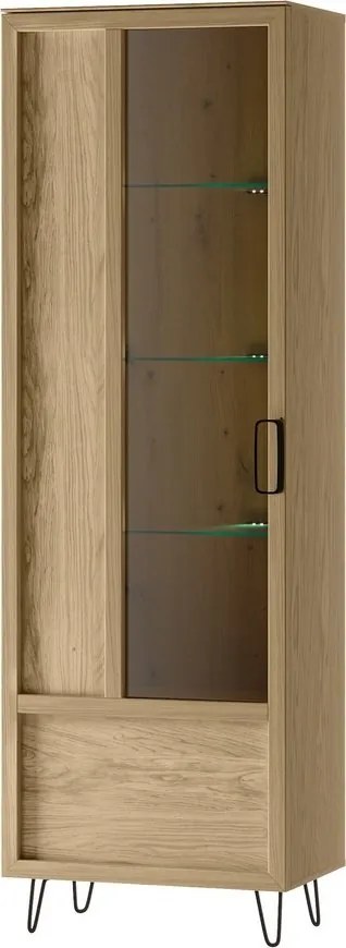 Casarredo - Komfort nábytek Vitrína ALTEA 10 1D levá dub artisan