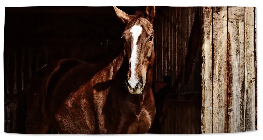 Ručník SABLIO - Kůň ve stáji 70x140 cm