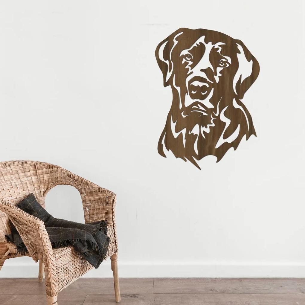 dřevo života Dřevěná dekorace psa Labrador Rozměry (cm): 22x30, Barevný vzor: Třešeň