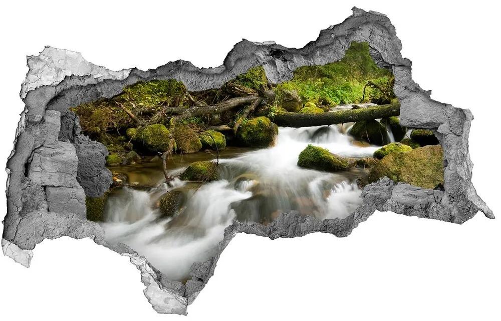 Wallmuralia Díra 3D ve zdi nálepka Potok Olczyski 95x73 cm