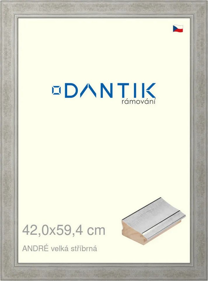 DANTIK rámeček 42x59,4 | ANDRÉ velká stříbrná (Plexi Čiré)