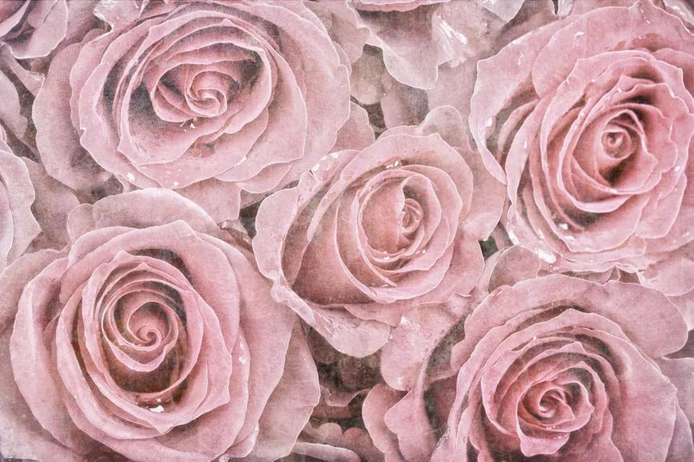 Obraz Krásné Vintage Růže Nedostatek Nedostatek Plátno Canvas 90x60