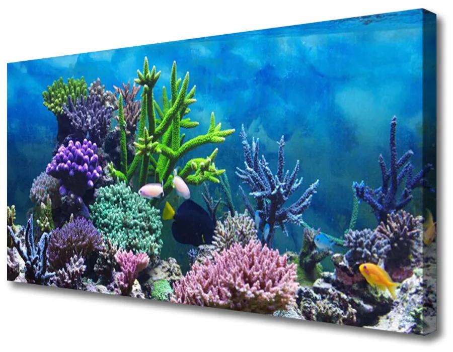 Obraz na plátně Akvárium Rybičky Pod Vodou 140x70 cm