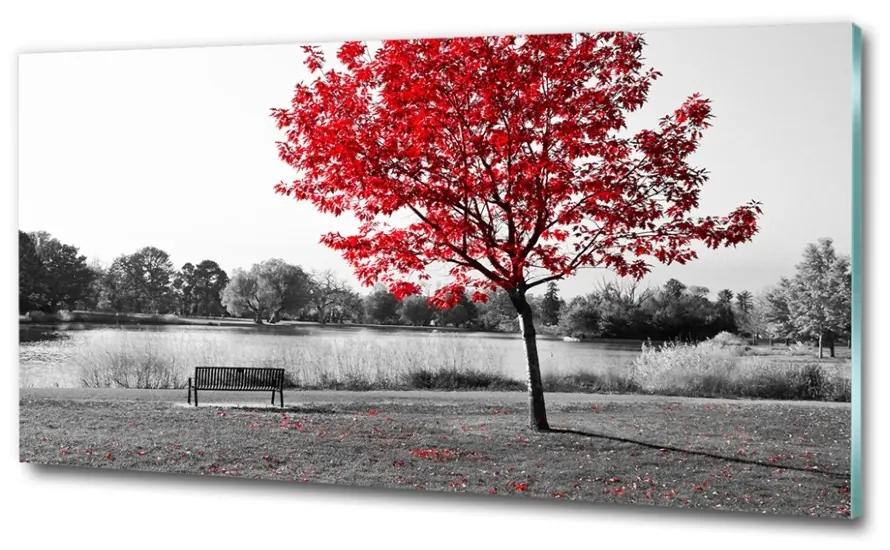 Wallmuralia Fotoobraz na skle Červený strom 100x50