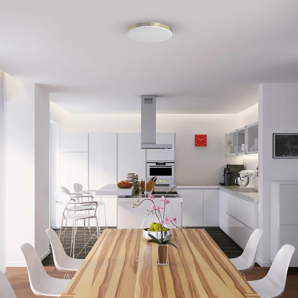 Stropní LED svítidlo Bever, 1x LED 10w, 4000k, g