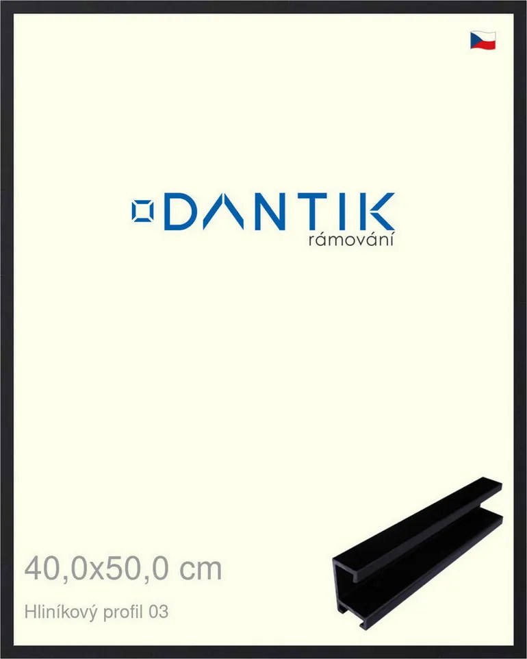 DANTIK rámeček 40x50 | ALU profil 7003 Černá matná (Plexi Čiré)