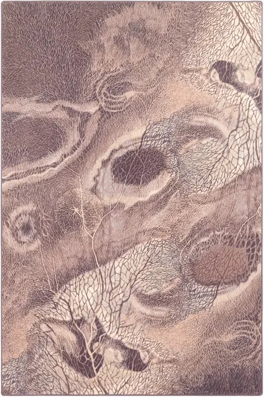 Kusový koberec Bellona vřes 200 x 300 cm