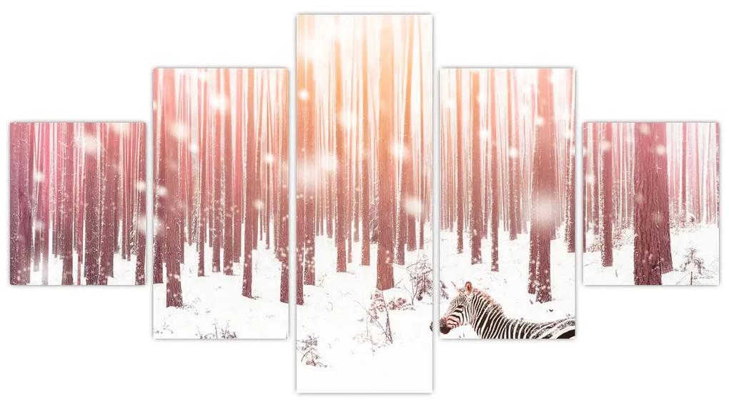 Obraz - Zebra v zasněženém lese (125x70 cm)