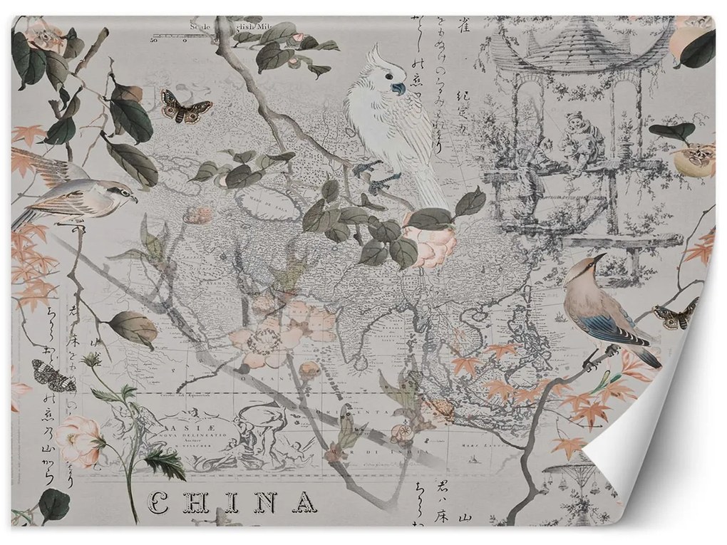 Gario Fototapeta Vintage mapa a ptáci - Andrea Haase Materiál: Vliesová, Rozměry: 200 x 140 cm