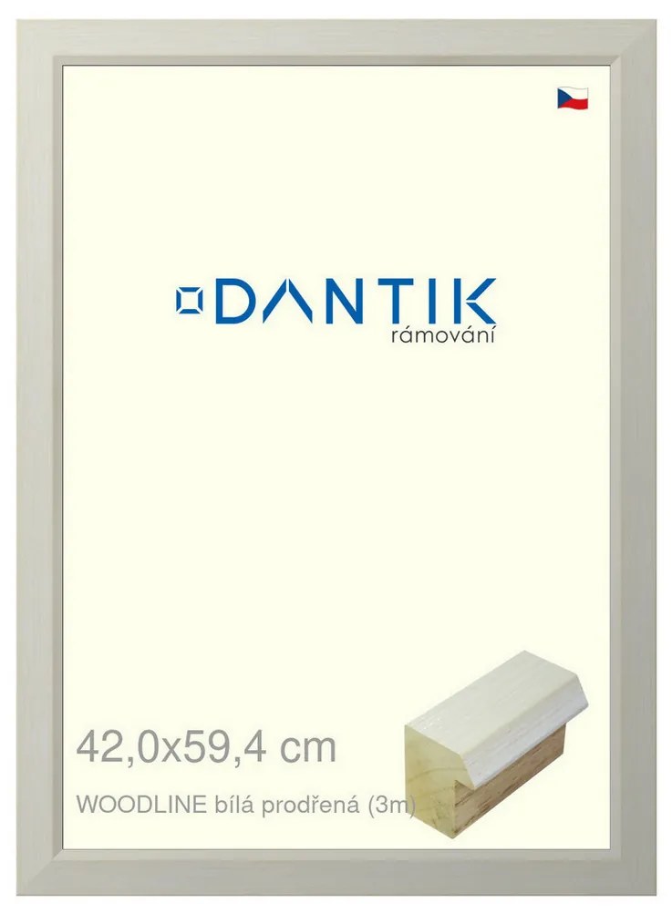 DANTIK rámeček 42x59,4 | WOODLINE bílá prodřená (Plexi Čiré)