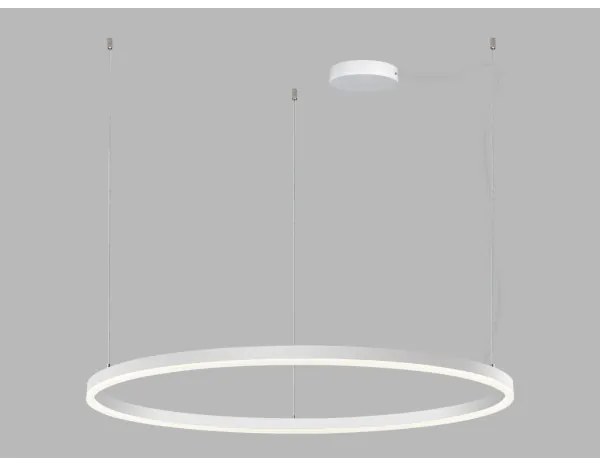 LED2 - LED Stmívatelný lustr na lanku CIRCLE 80W/230V 3000K/4000K pr. 100cm bílá