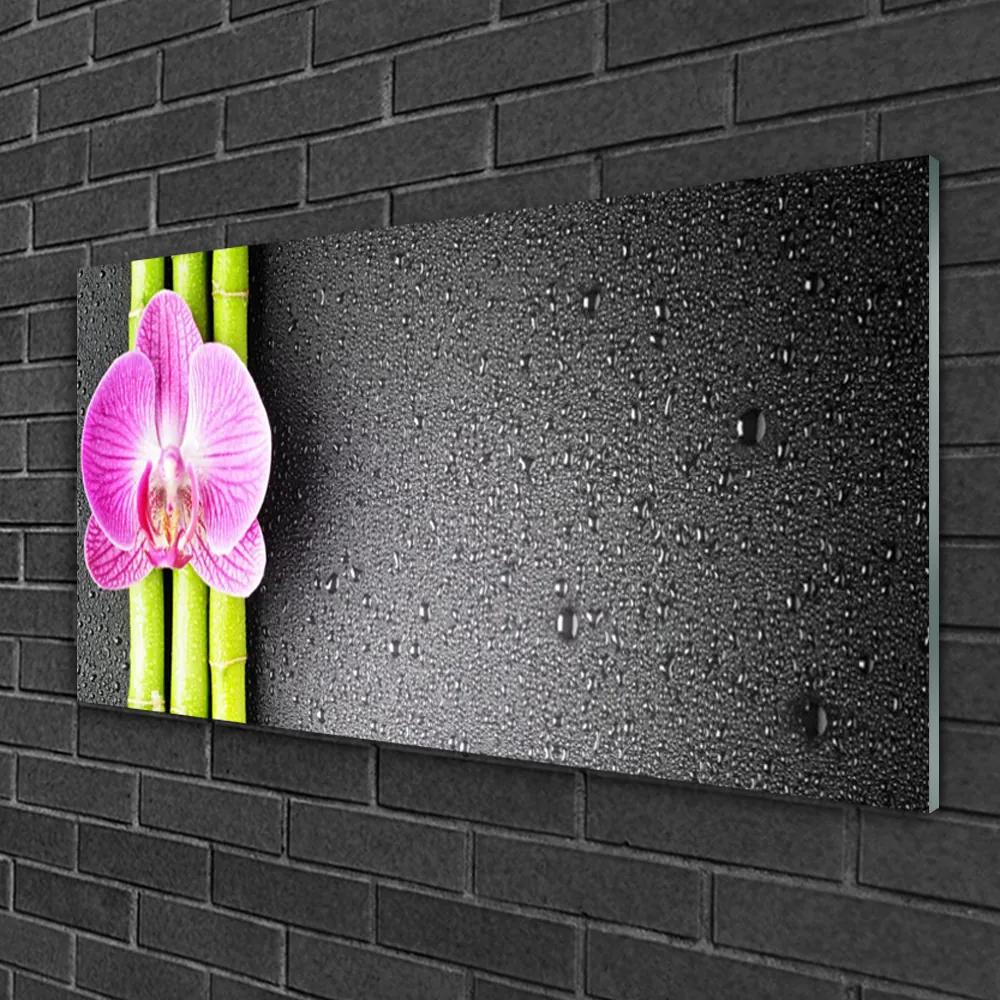Obraz na skle Bambus Květ Orchidej 100x50 cm