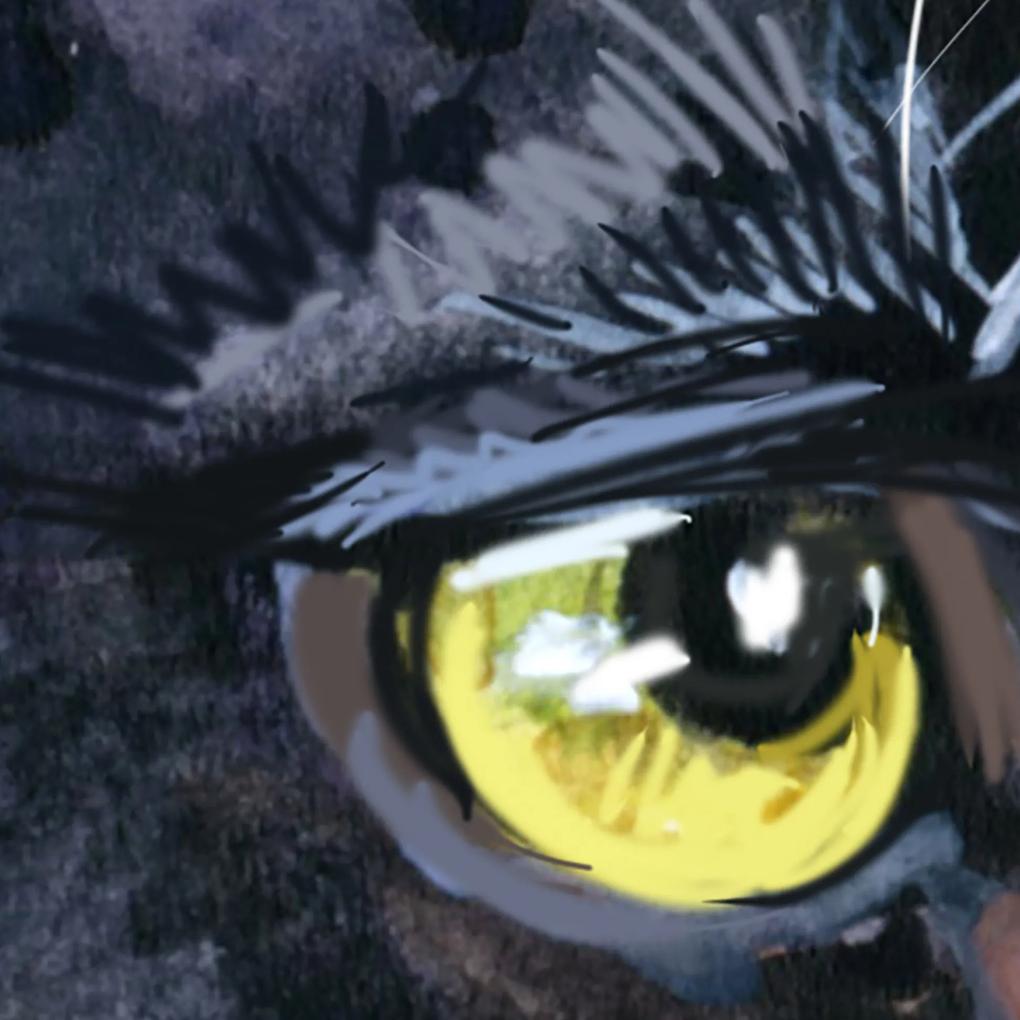 Malvis ® Tapeta Obraz Černý jaguár Vel. (šířka x výška): 432 x 290 cm