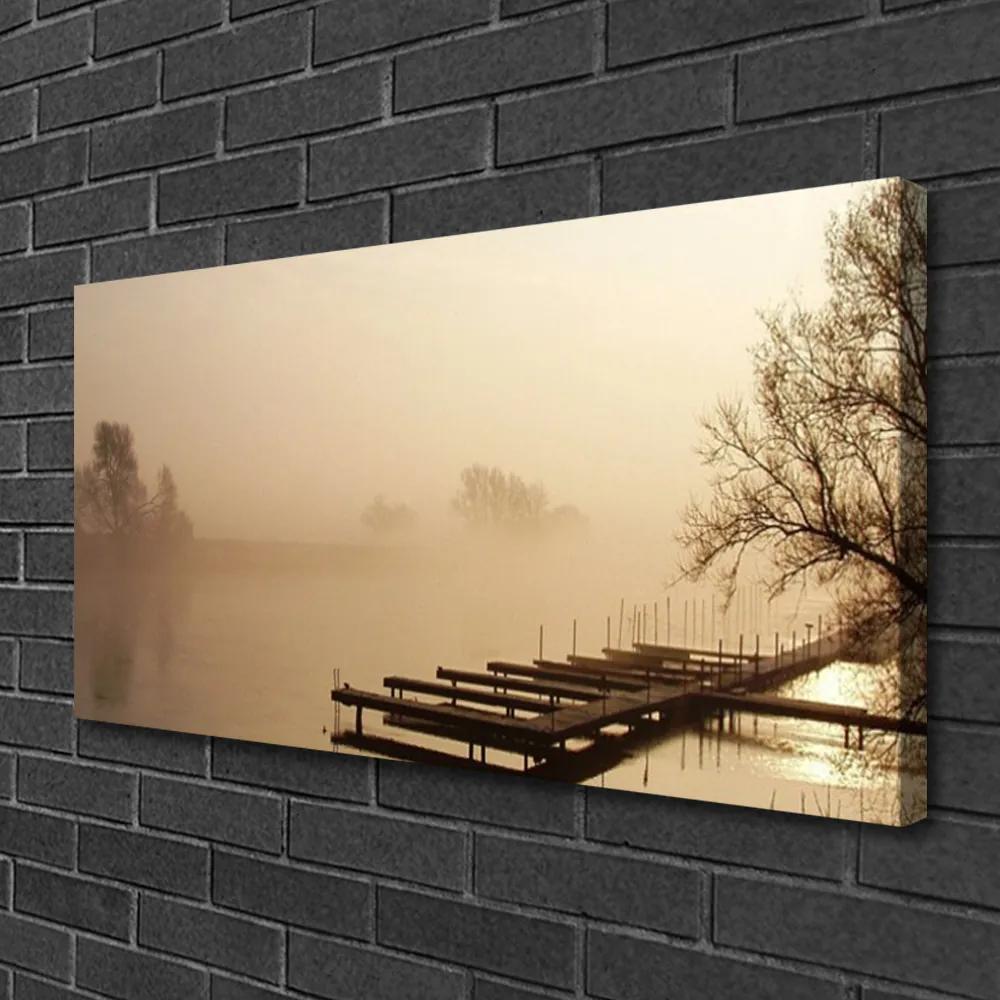 Obraz na plátně Most Voda Mlha Krajina 120x60 cm