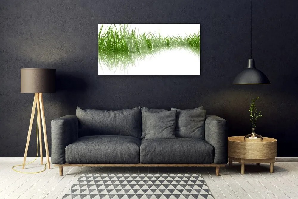 Plexisklo-obraz Tráva Příroda Rostlina 100x50 cm