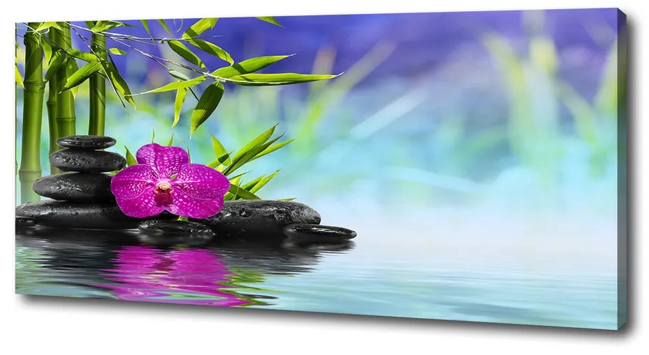 Wallmuralia Foto obraz tištěný na plátně Orchidej bambus 125x50 cm