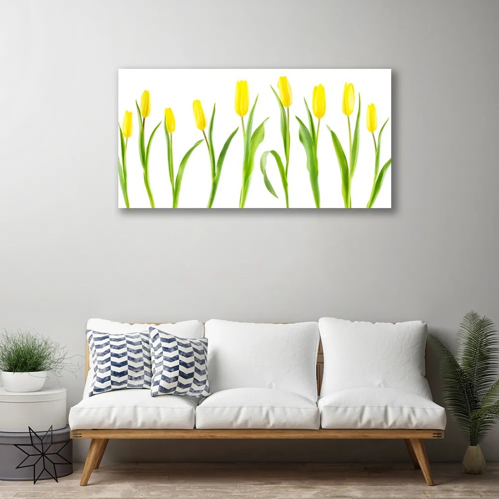 Obraz na plátně Žluté Tulipány Květiny 100x50 cm