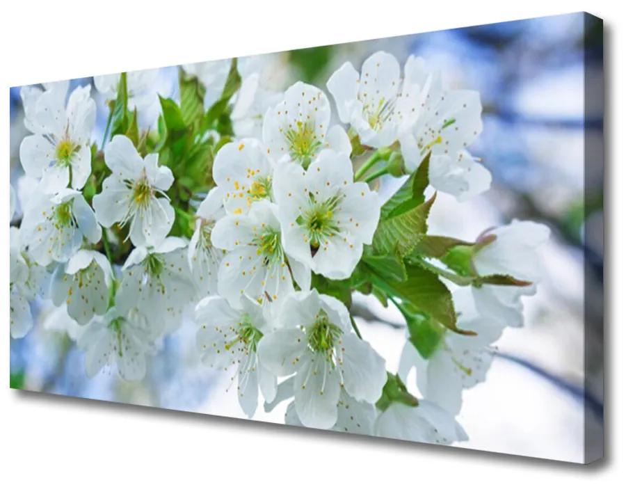 Obraz na plátně Květiny Strom Listy Příroda 100x50 cm