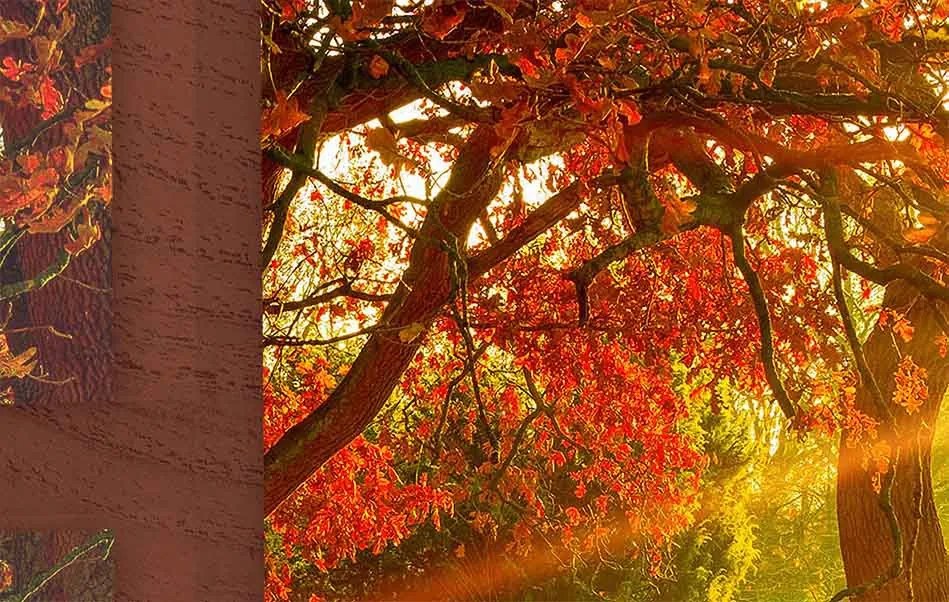Malvis ® Obraz podzimní slunce za oknem Velikost: 130x110 cm