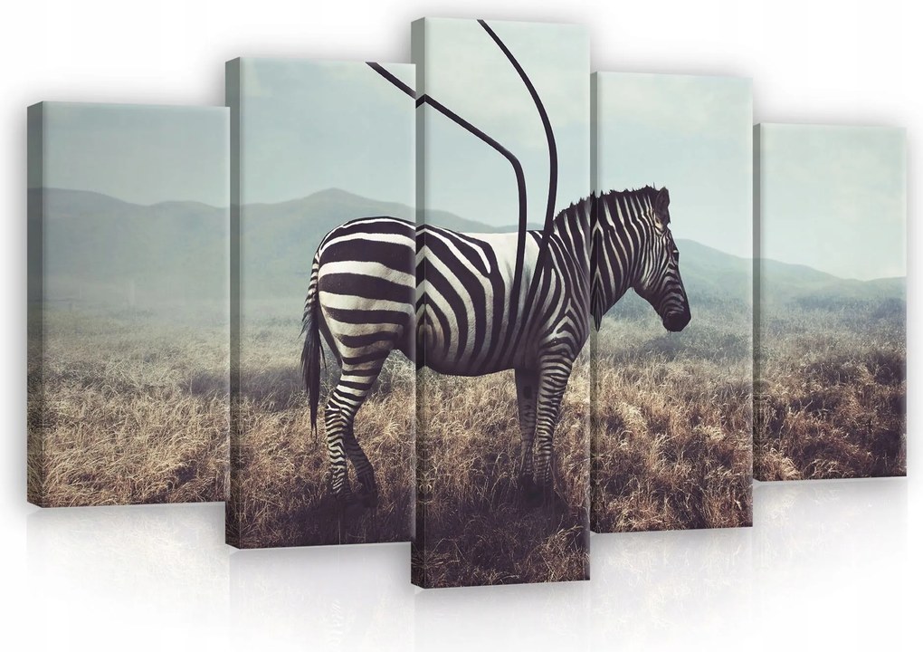 Obraz 100x60 Zebra savana příroda osamělost abstrakce minimalismus dekorace