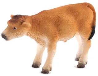 Mojo Jerseyské tele stojící