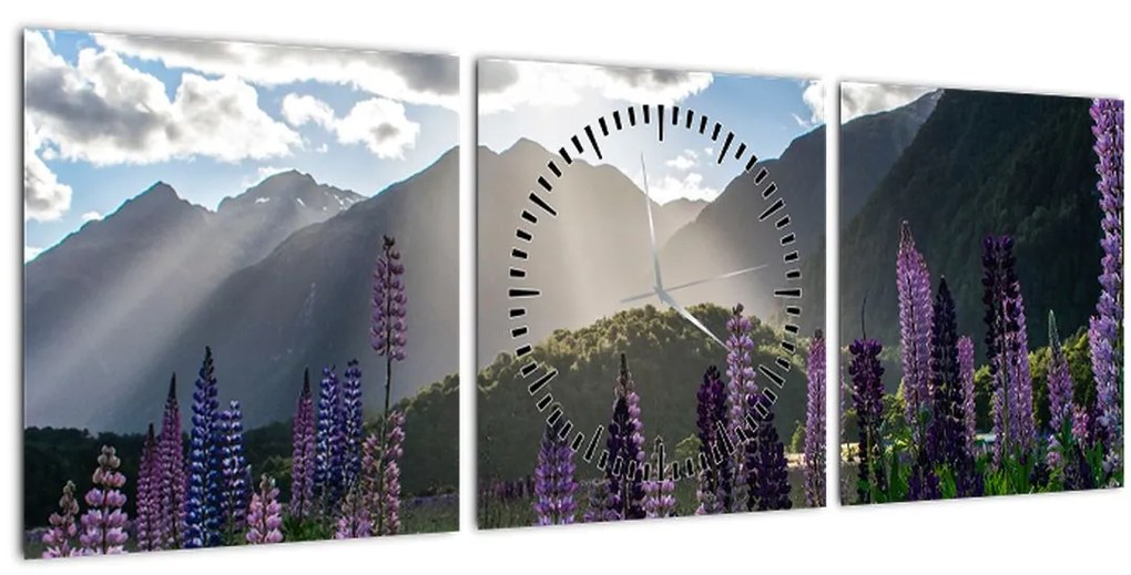 Obraz - Scénerie vlčích bobů (s hodinami) (90x30 cm)