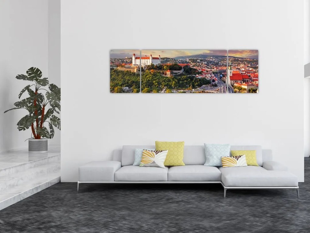 Obraz - Panorama Bratislavy, Slovensko (170x50 cm)