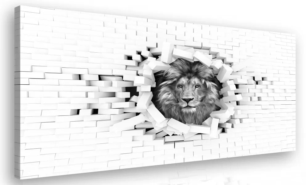 Černobílý obraz - lev (90x60 cm) - InSmile ®