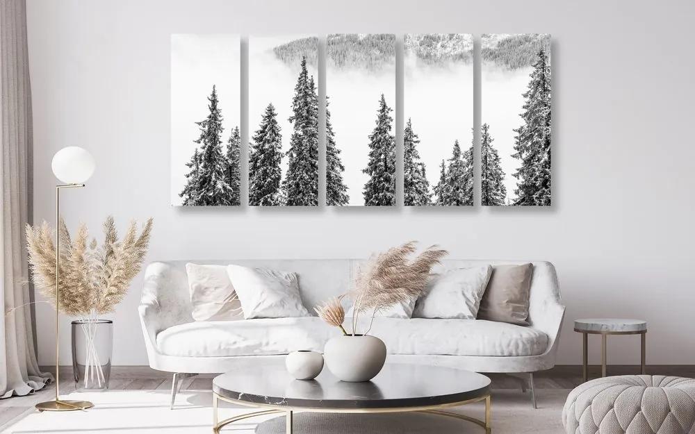 5-dílný obraz zasněžené borové stromy v černobílém provedení Varianta: 100x50