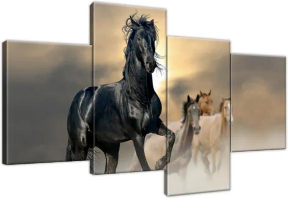 Tištěný obraz Nádherný černý kůň 120x70cm 2491A_4Z