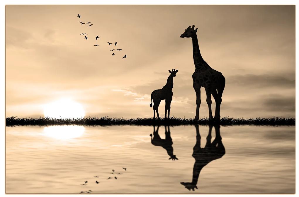 Obraz na plátně - Žirafy silueta 1919FA (75x50 cm)