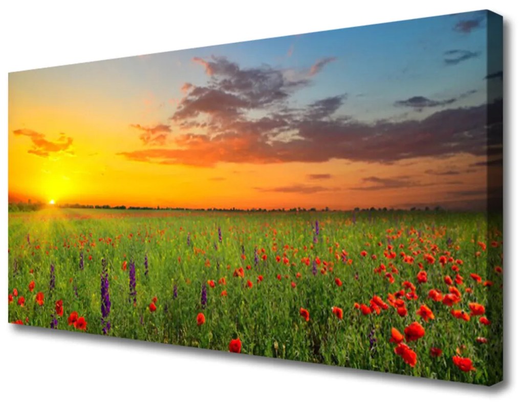 Obraz Canvas Slunce Louka Květiny Příroda