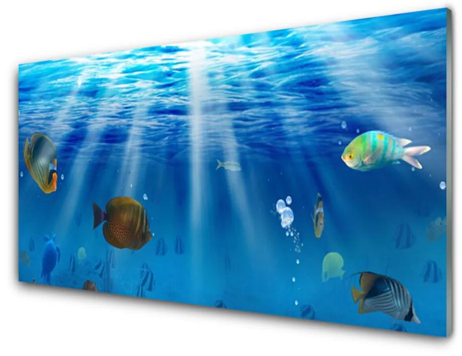 Obraz na skle Ryba Příroda 140x70 cm