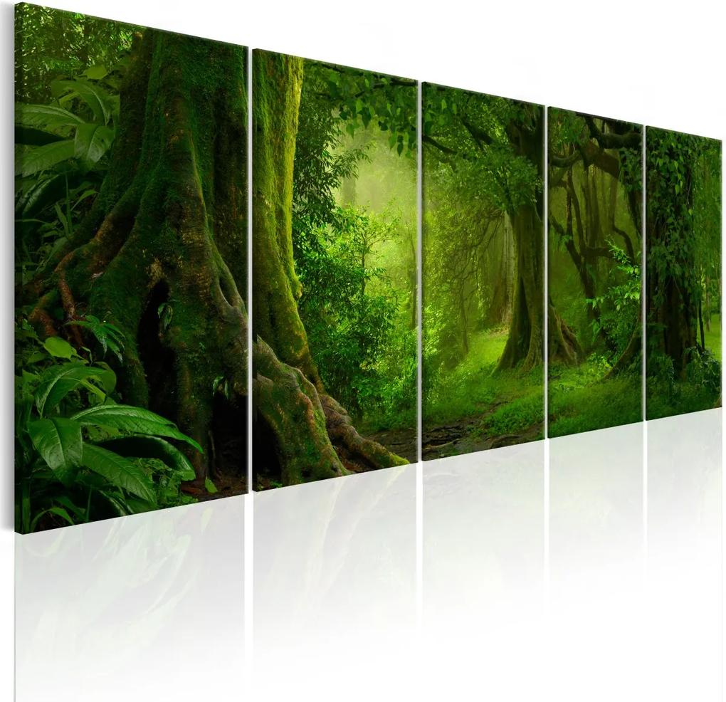 Vícedílný obraz les + háčky a hřebíčky ZDARMA Velikost (šířka x výška): 150x60 cm