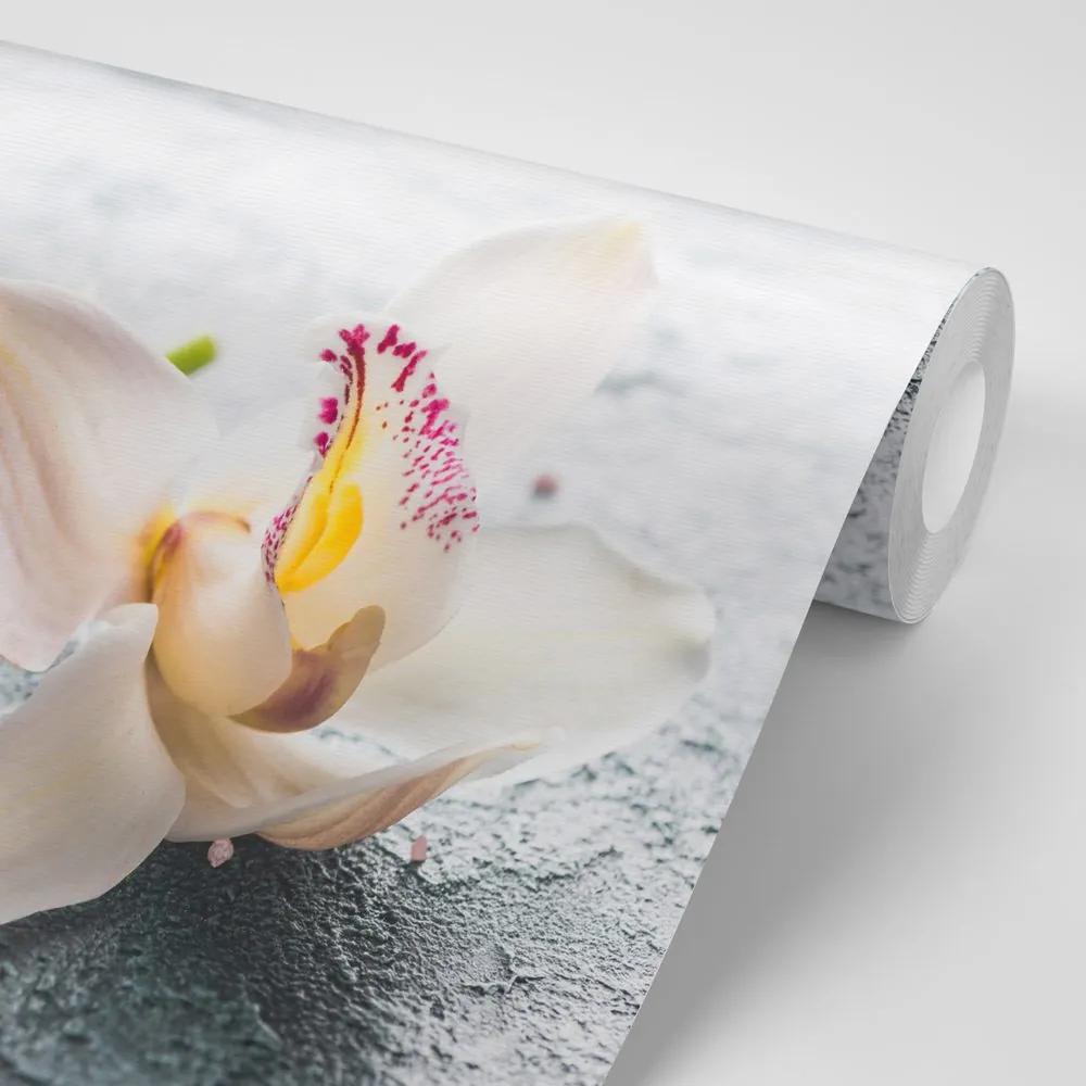 Samolepící fototapeta květiny orchideje