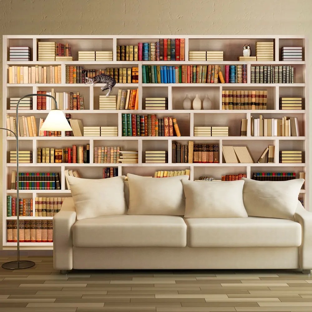 Fototapeta - Home library