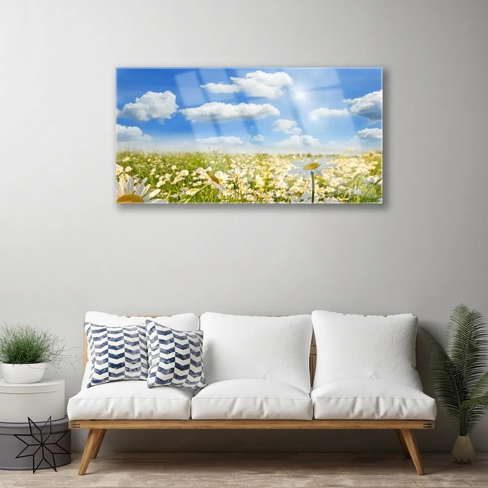 akrylový obraz Louka Sedmikrásky Příroda 100x50 cm